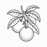 Fruit Coloring Pages - Love For Coloring